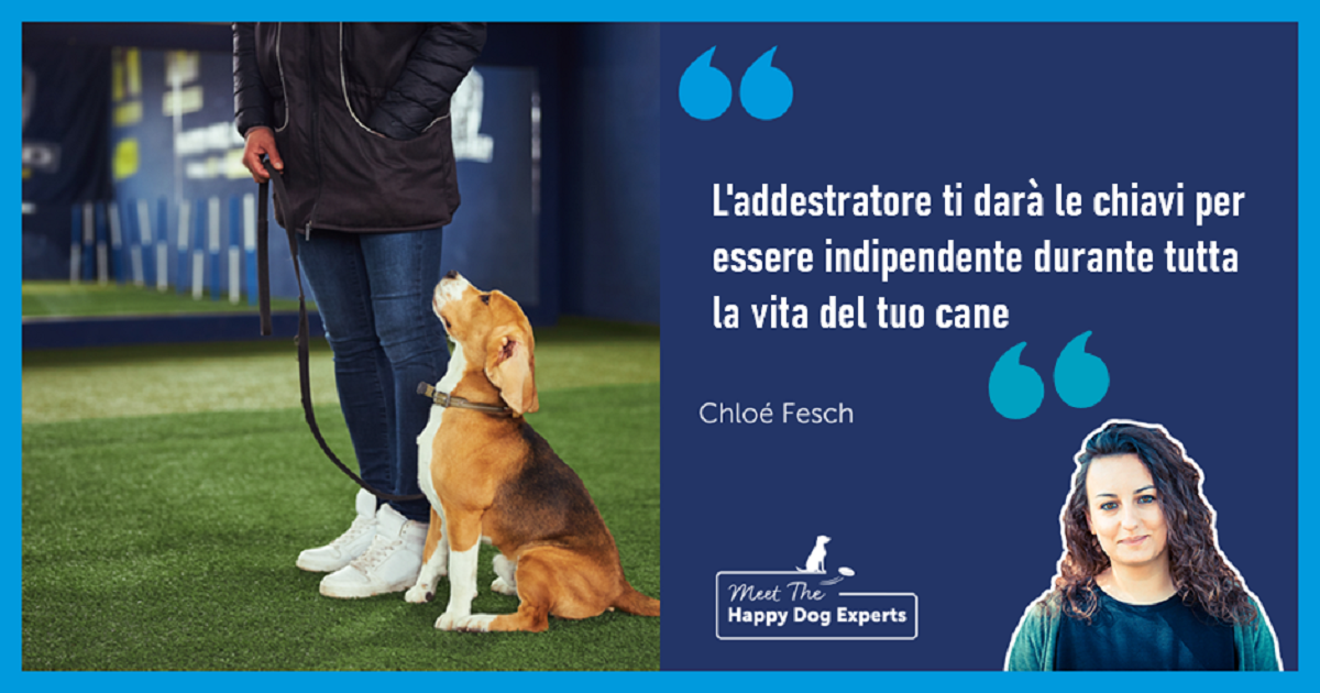 I cani hanno bisogno di un educatore professionista?